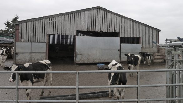 Ashley Down Farm - WDA